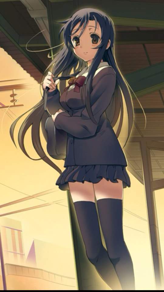 School Days Wiki Anime Amino school-days-wiki-anime-amino