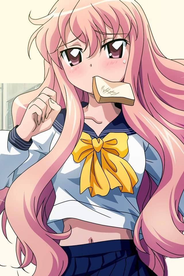 Louise Françoise Le Blanc De La Vallière Wiki Anime Amino